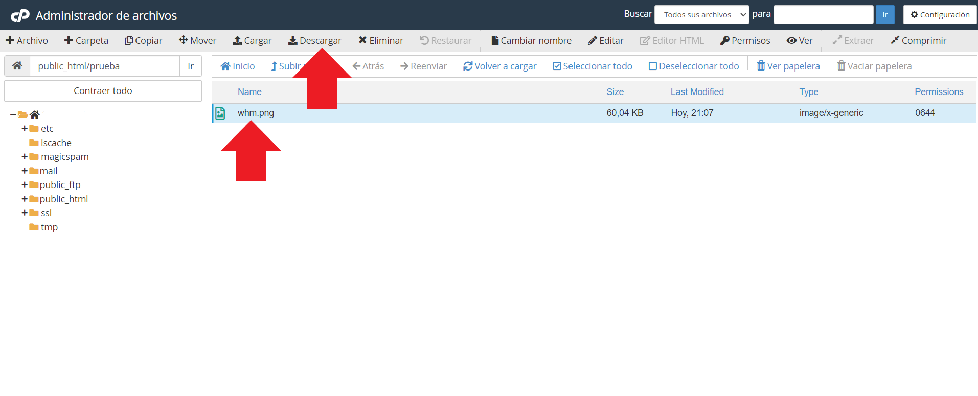 Cómo administrar archivos y directorios en cPanel
